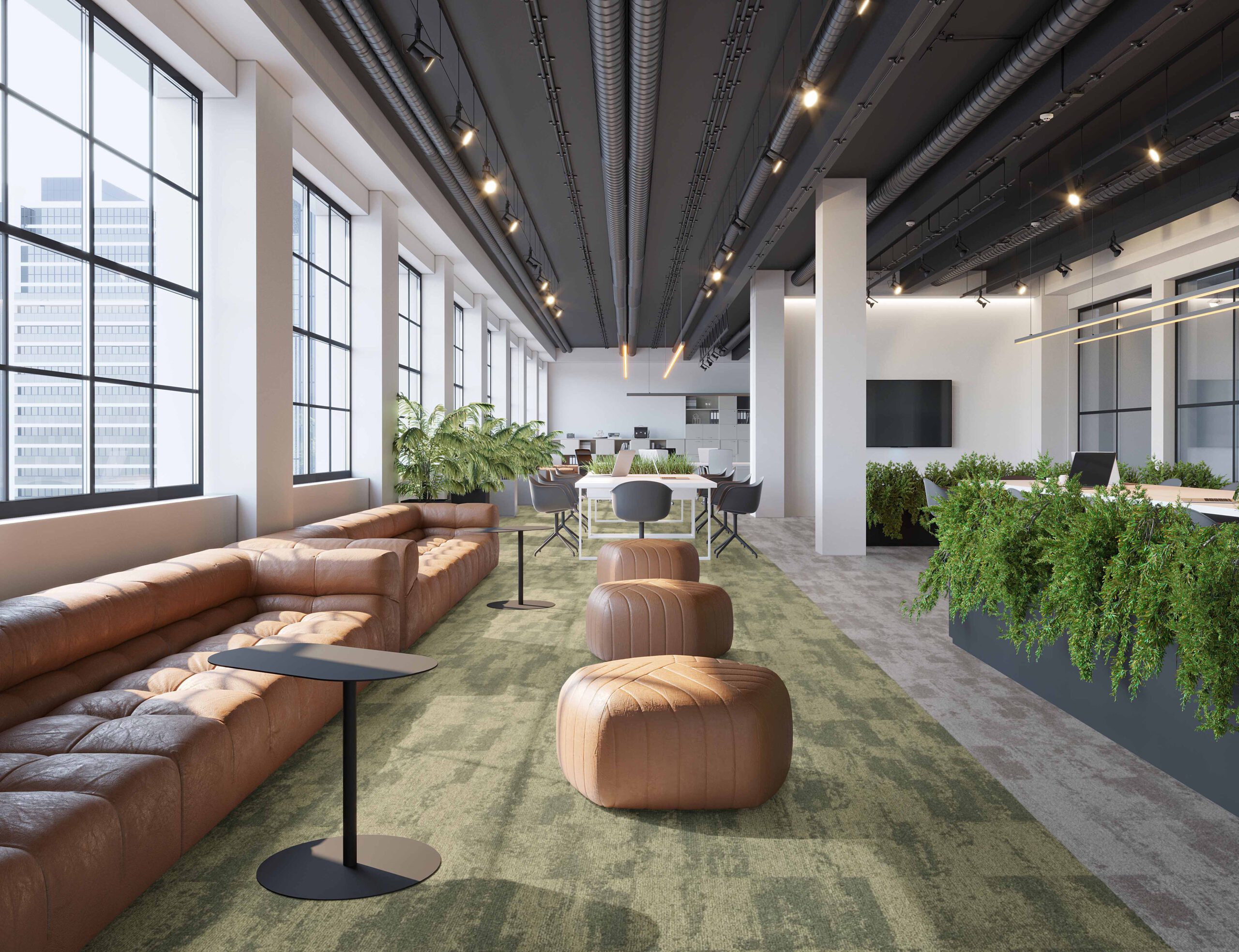 Collections - Tapibel