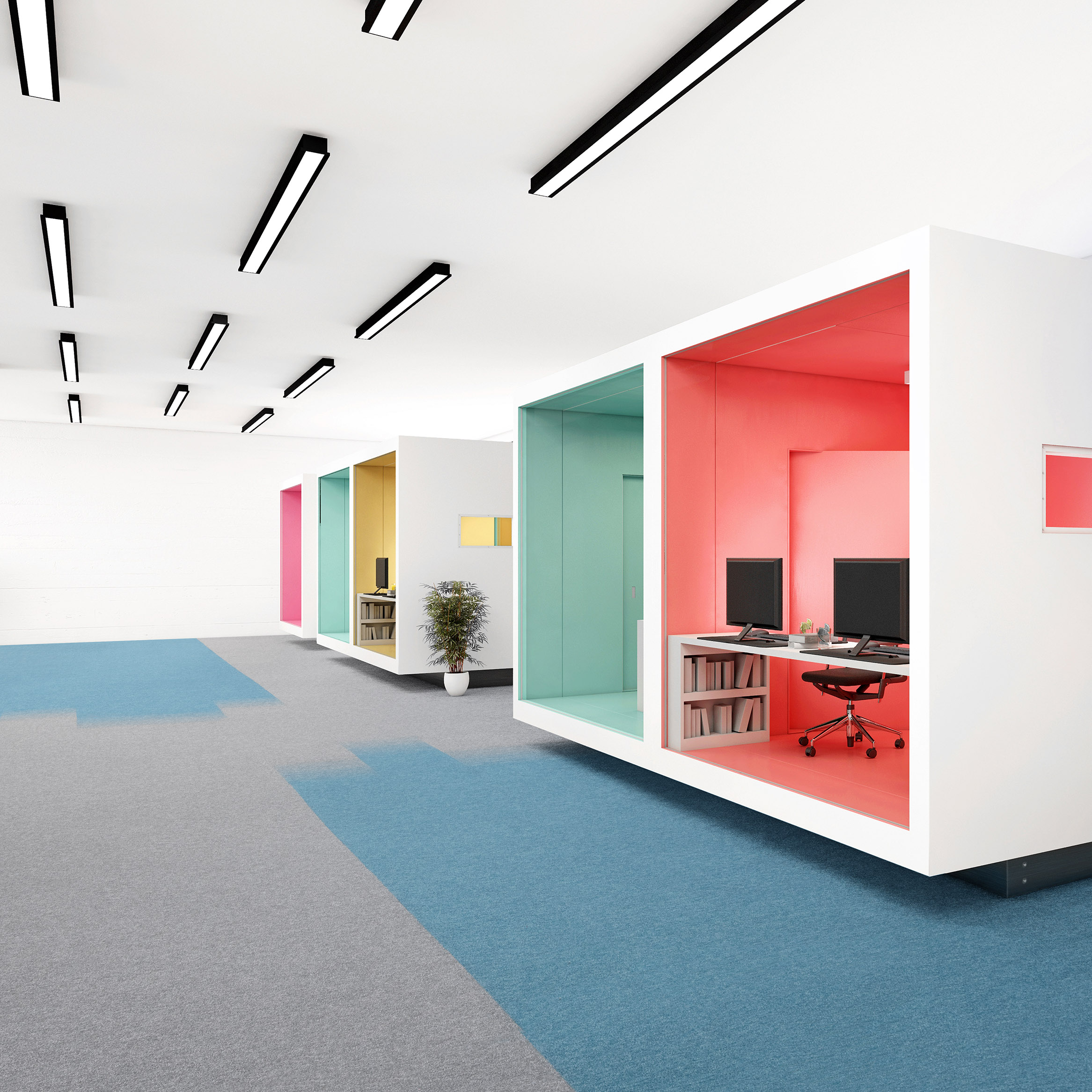 Collections - Tapibel