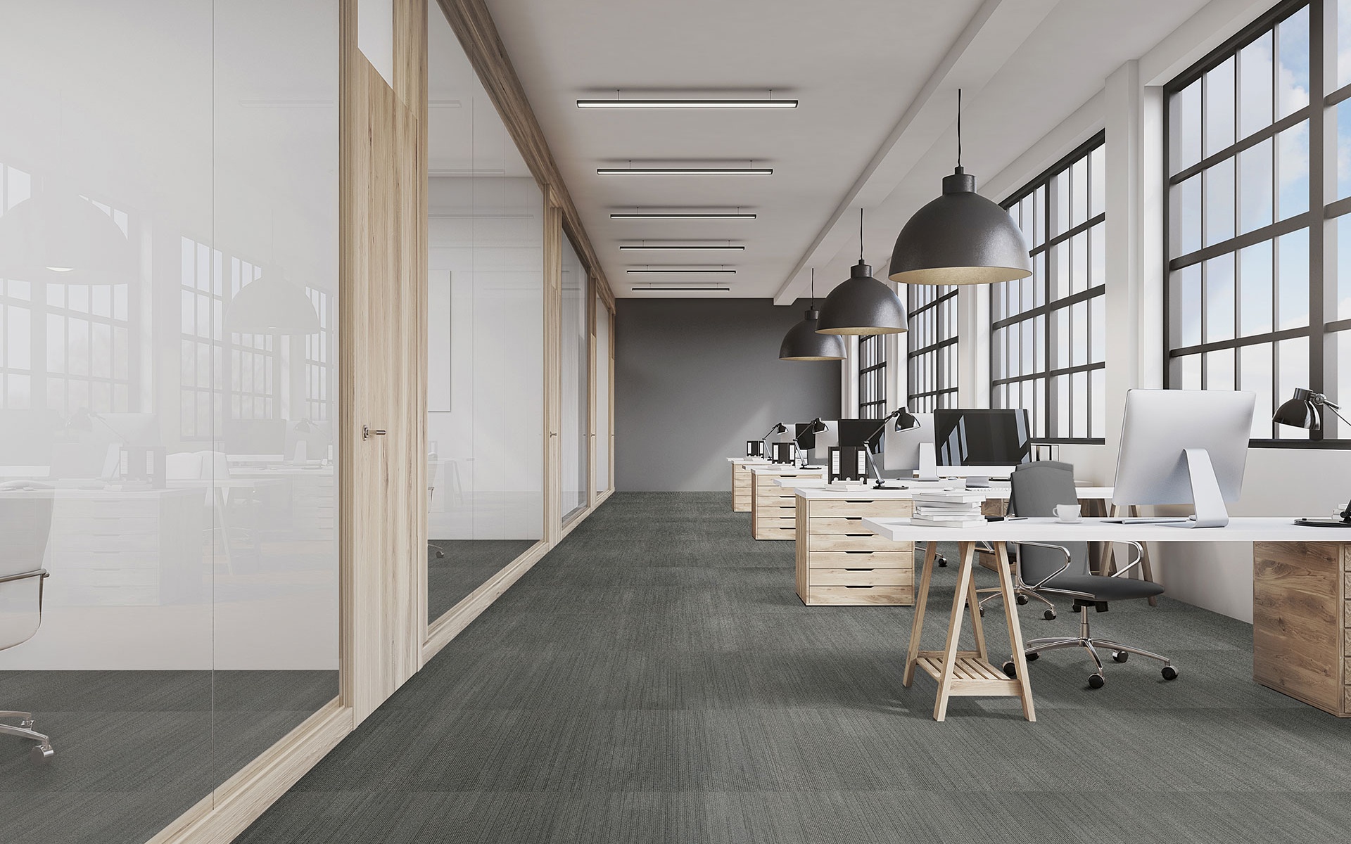 Collections - Tapibel