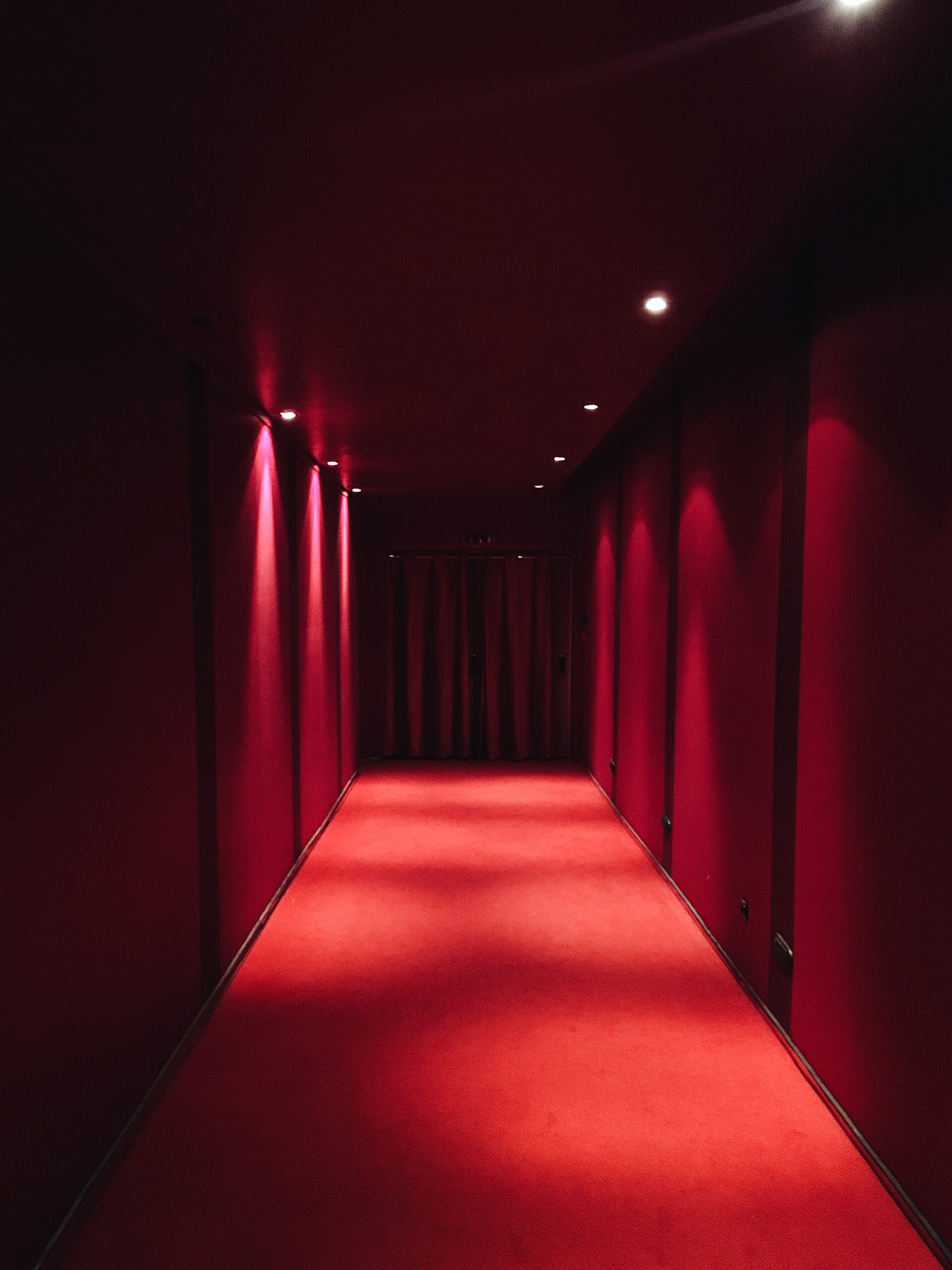 Collections - Tapibel